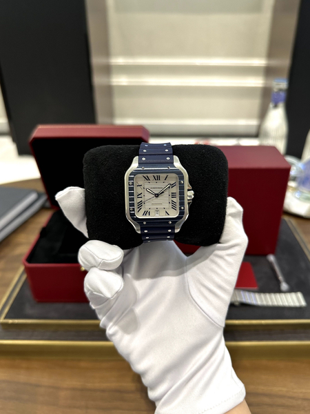 Сartier Santos De Cartier WSSA0047