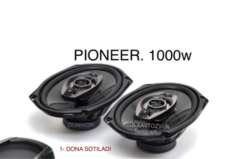 pioneer 1000w  pioner kalonka 1ta yangi cheti rezinkali pishalkali new