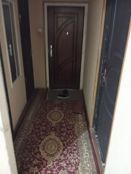 Куйлук 3 Массив.