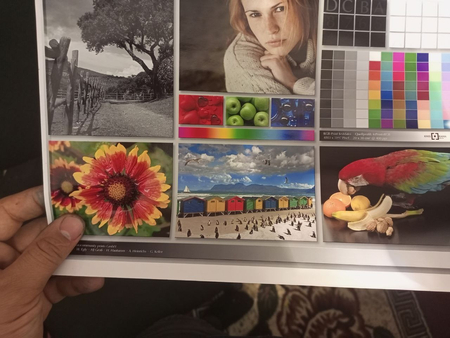 Epson xp 103 kopiya skanerli tezkor rangli printr holati idialni zor