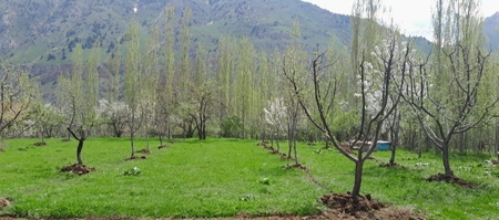 Bo'stonliq tumani Tepar qishlog'ida 15 sotix yer sotiladi Nefret yoli