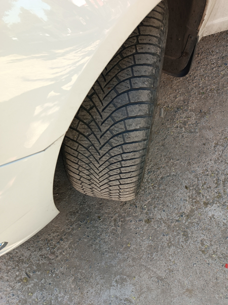 Vossen 16 diska balon