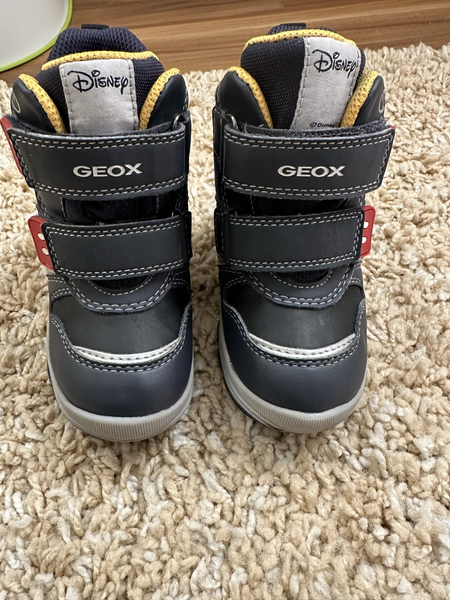 Сапоги  GEOX    .