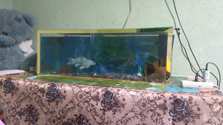Akvarium sotiladi 40x40 1 metir 80letir kelshamiz