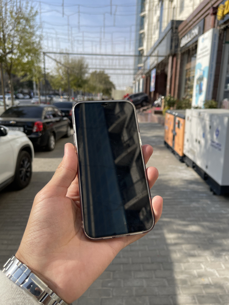 Iphone 12 pro max IDEAL