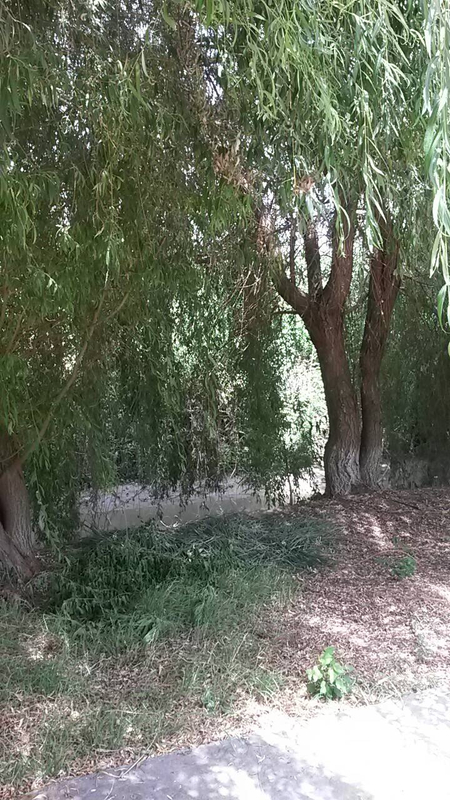 Продается своя дача