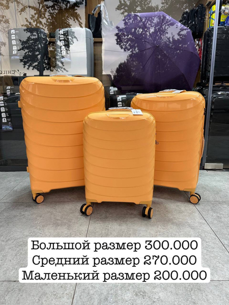 Чемодан PP-100%