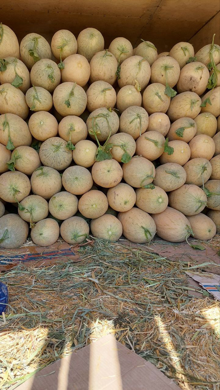 Investor kerak dexqonchilika