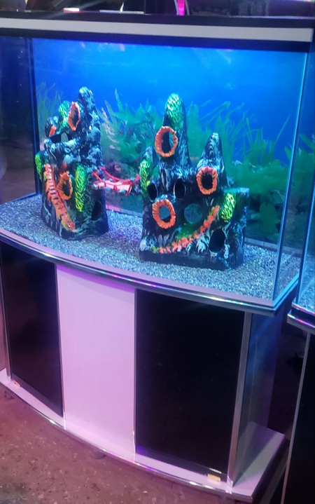 Akvarium sotiladi sextant arzon narxlada 1 Metr uzunligi 60 sm Balanli