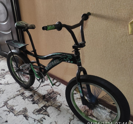 Velosiped bemalol 60 kilogacha kotaradi