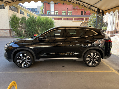 BYD champion 2025 restailing