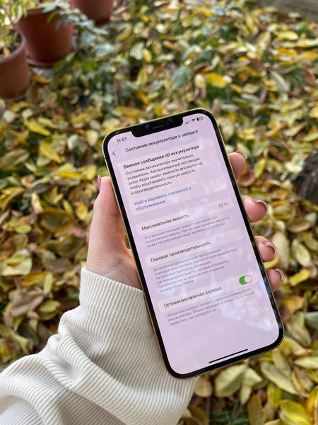 Iphone 12 pro max 256 gb