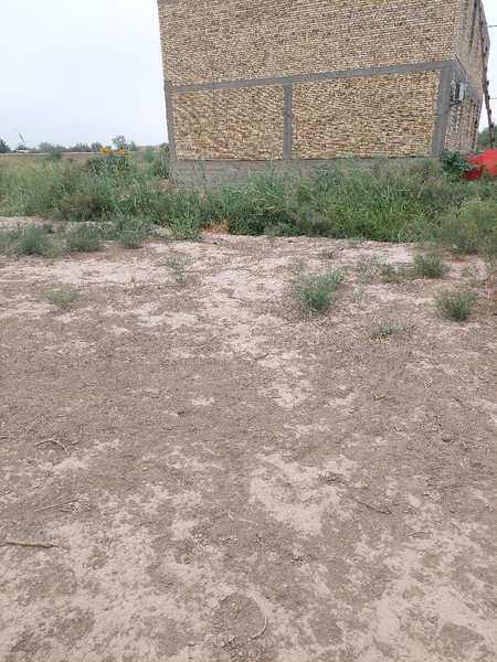 Жой урни сотилади