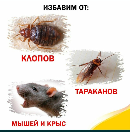 Дезинфекция І Дезинсекция I dezinfeksiya