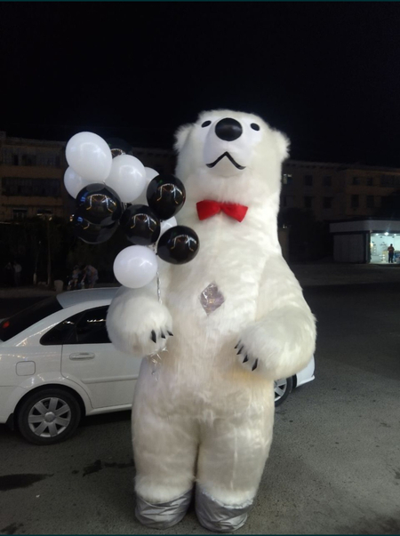 Айиклар ХИЗМАТИ  Микки Мауслар ва маллавой