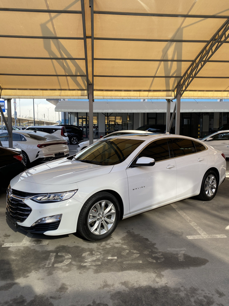 Malibu premier 2020
