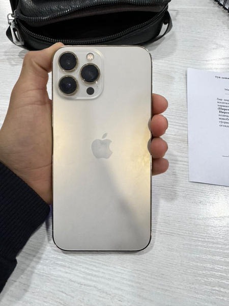 Iphone 13 pro max ideal