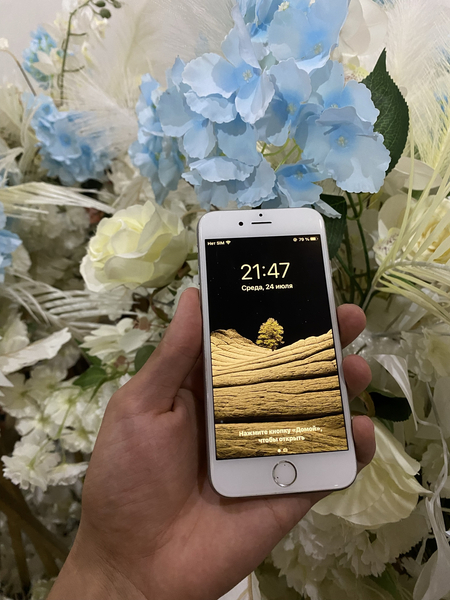iphome 6s 16g