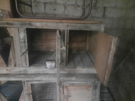 Quyonga Inla Tez, Sifat va arzon