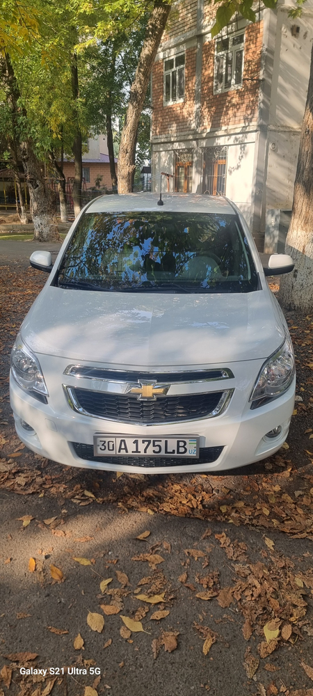 Kobilt 2024 yil salondan chiqqan 29.000 yurgan
