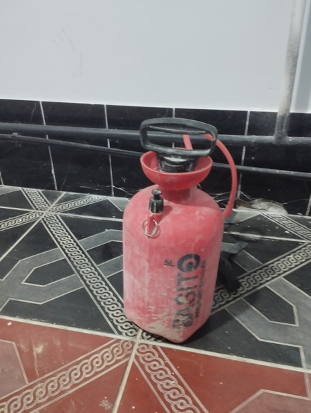 Almaz karonka sotiladi