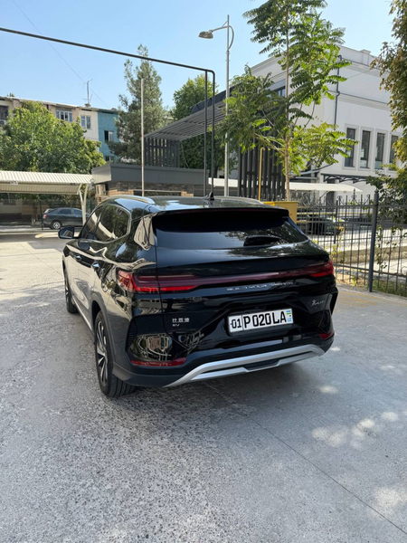 BVD champion 2023 FULL pozitsiya