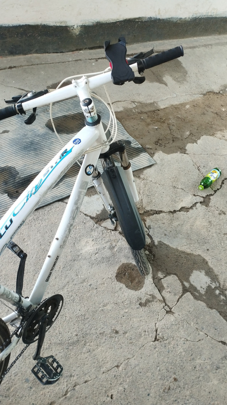 Velosapet sport yingil