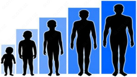 Капсулы для роста человека Height fast grow