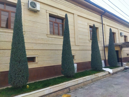 Газон екиш, Арча кесиш, дорилаш хизмати 30 000