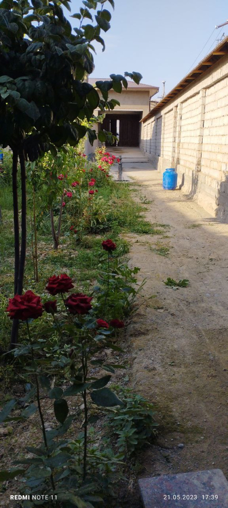 Uy sotiladii yengi towmini postindan otgandan keyn