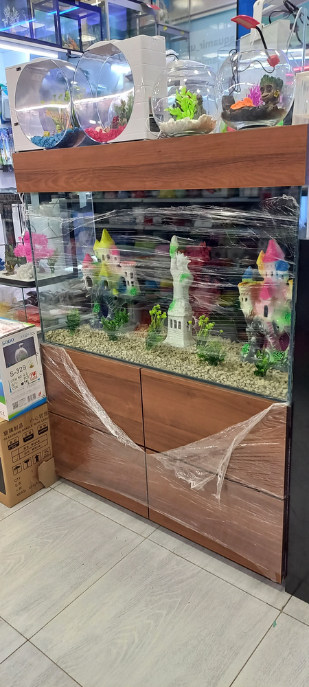 Akvarium va baliq dokoni manzil sergeli va yunusobod tumanida keling..