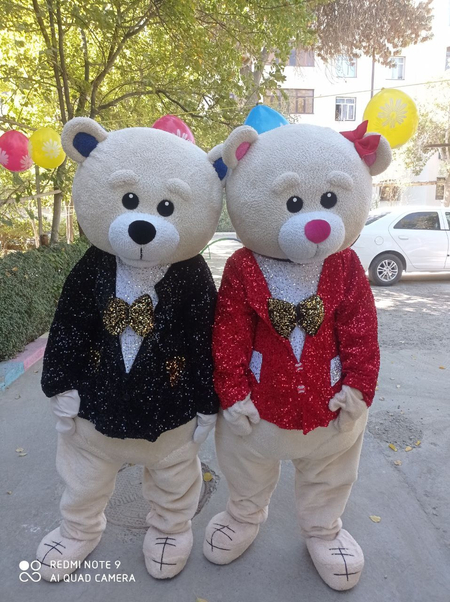 Ayiq Teddy sotiladi xolati yaxshi