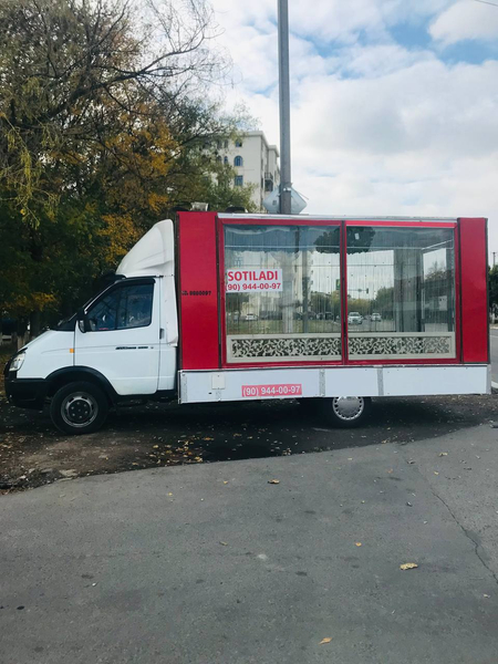 Газель сотиладии
