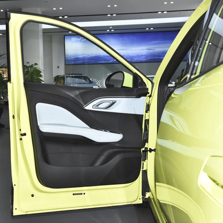 Byd seagul arenda s vikupom