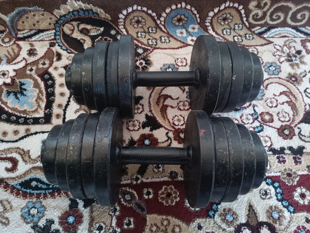 gantel  19 kg da