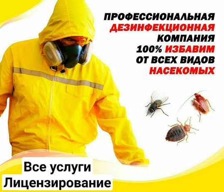 Xashoratlarga qarshi dezinfeksiya