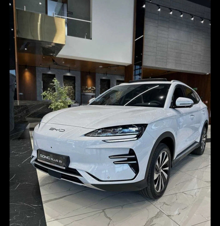 Byd champion electro 520km
