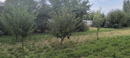 #3266 #Зудлик б.н #Чек #Сотилади #Фарғона #БобурКалхоз #5Питак 5-сотик