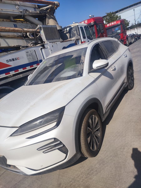 Byd Song Champion 2025