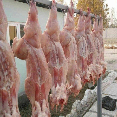 Заказга свежий куён сойиб бераман