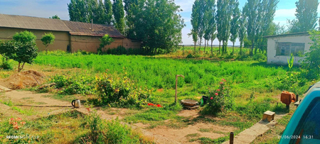 Hovli sotiladi 23 sotix