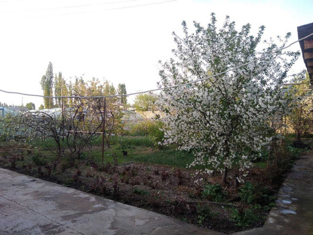 ВНИМАНИЕ Продаю 6 комнатный дом земли 54 сот 2 парника срочно.