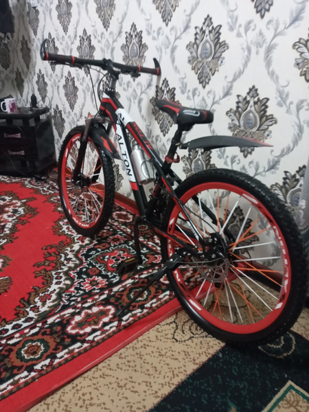 Алтон скоростной 24