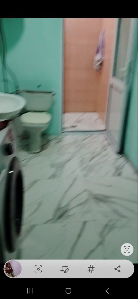 Куйлюк халкобод