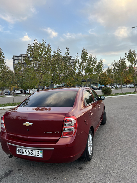 Cobalt 2024 Bardoviy