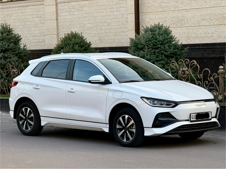BYD E2 Luxruy Full EV 405 km 2024 yil Oq rang xolati ideal