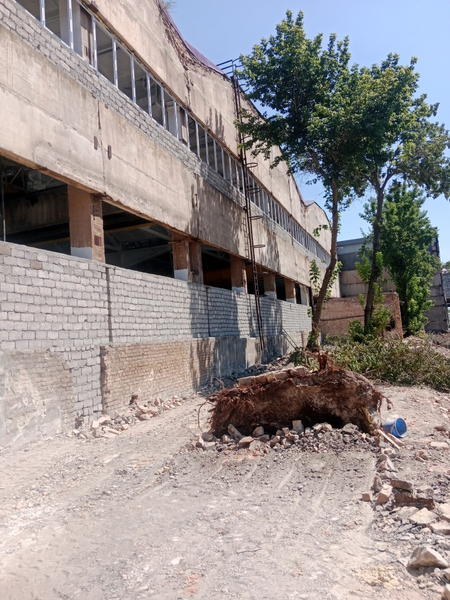 Пасад алпенис краска