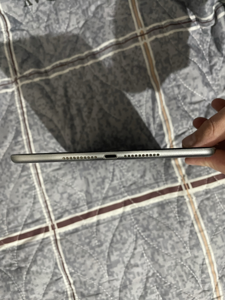 Ipad mini 5 (256GB)