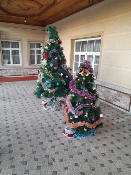 Янги йил Арчаси сотилади
