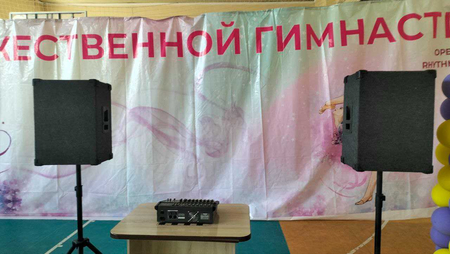 Продается 12 дюймовые акустические колонки.